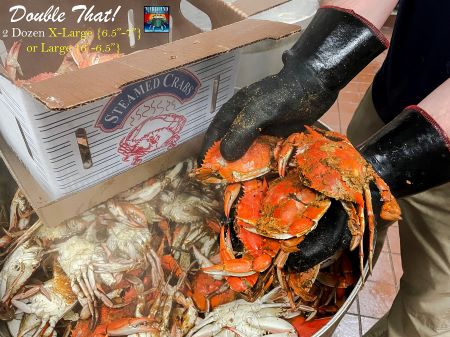 Limited Catch ~ 2 Dozen Jumbo Large {6"-6.5"} Maryland Style Blue Crabs ...