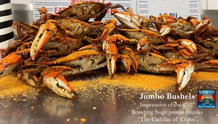 [FRESHLY STEAMED] Hard Shell Male Blue Crabs by the Bushelice.