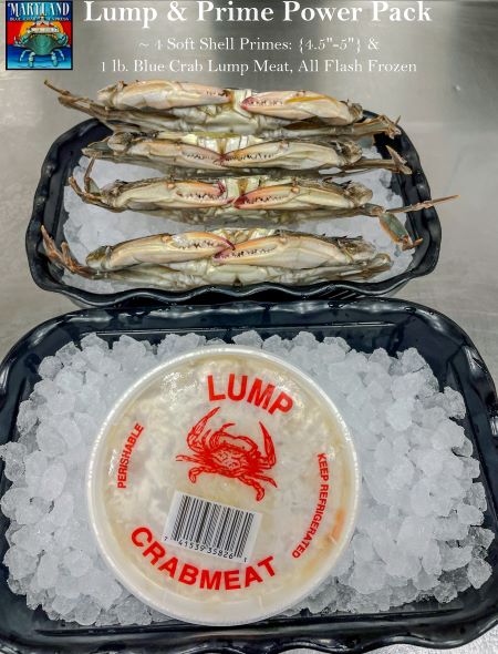 Lump & Prime Power Pack ~ 4 Soft Shell Primes: {4.5"-5"} & 1 lb. Blue ...