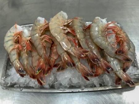 Shrimp, Scallops :: (5 lb. block) USA Shell-On Wild Caught Gulf White ...