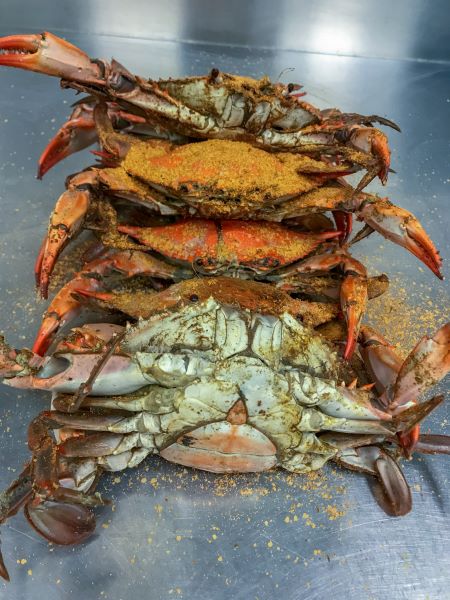 Wow! (24) Crab Packs :: Crab Variety Pack ~ JUMBO & Sook Sampler ...